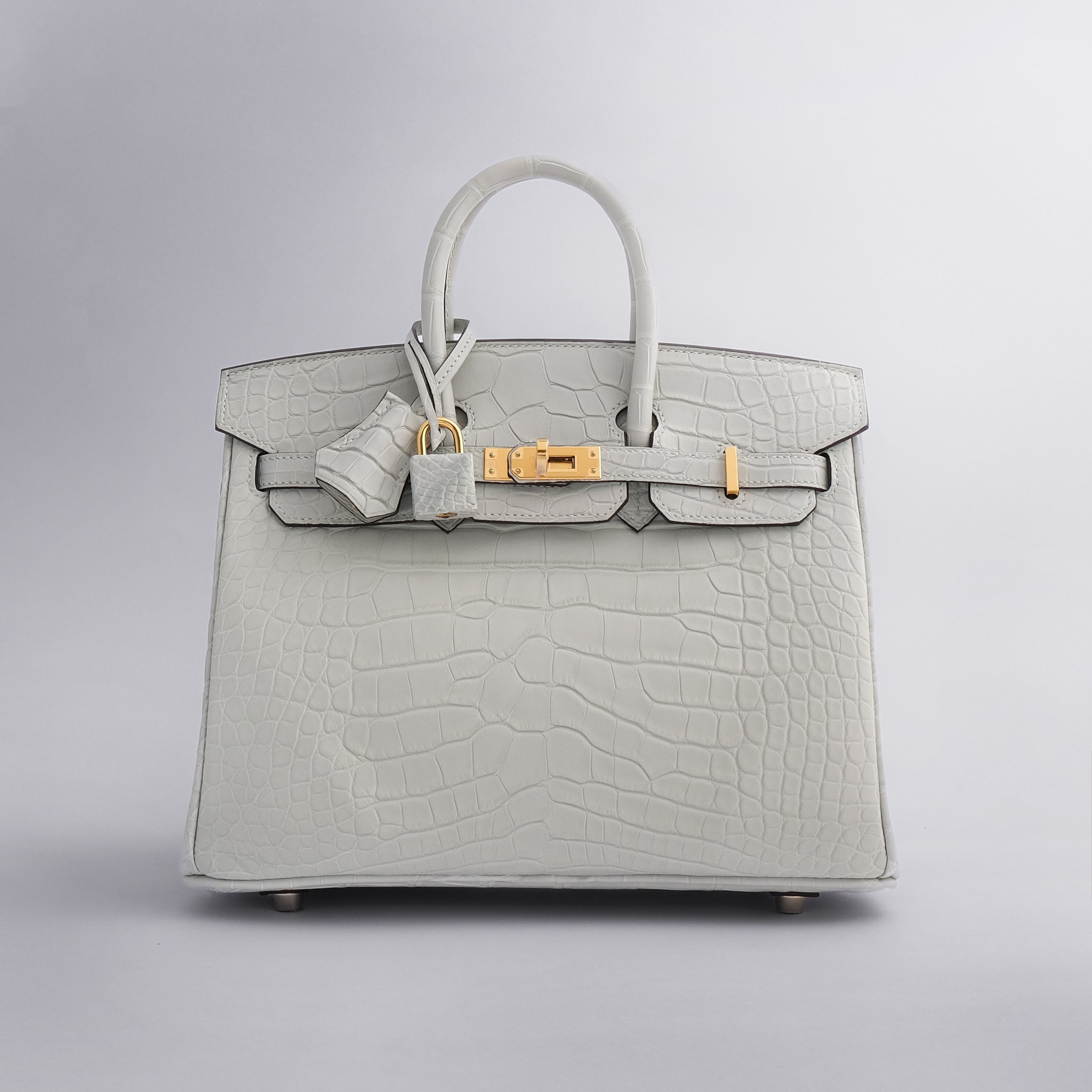 Hermès Birkin 25 Croc Gris Neve Matte Gold Hardware – eliteUSA