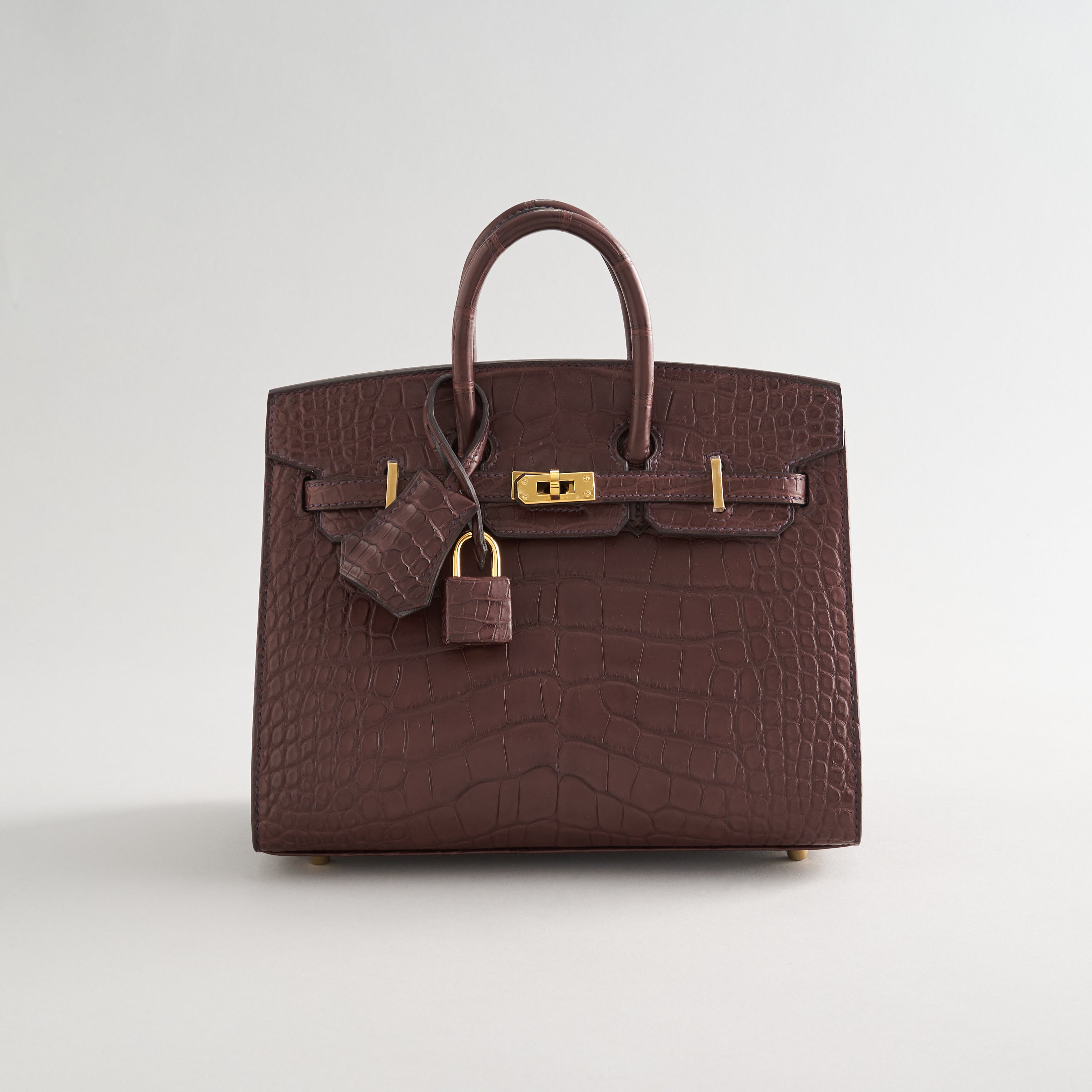 Hermès Birkin 20 Alligator Havane Gold Hardware Matte – eliteUSA